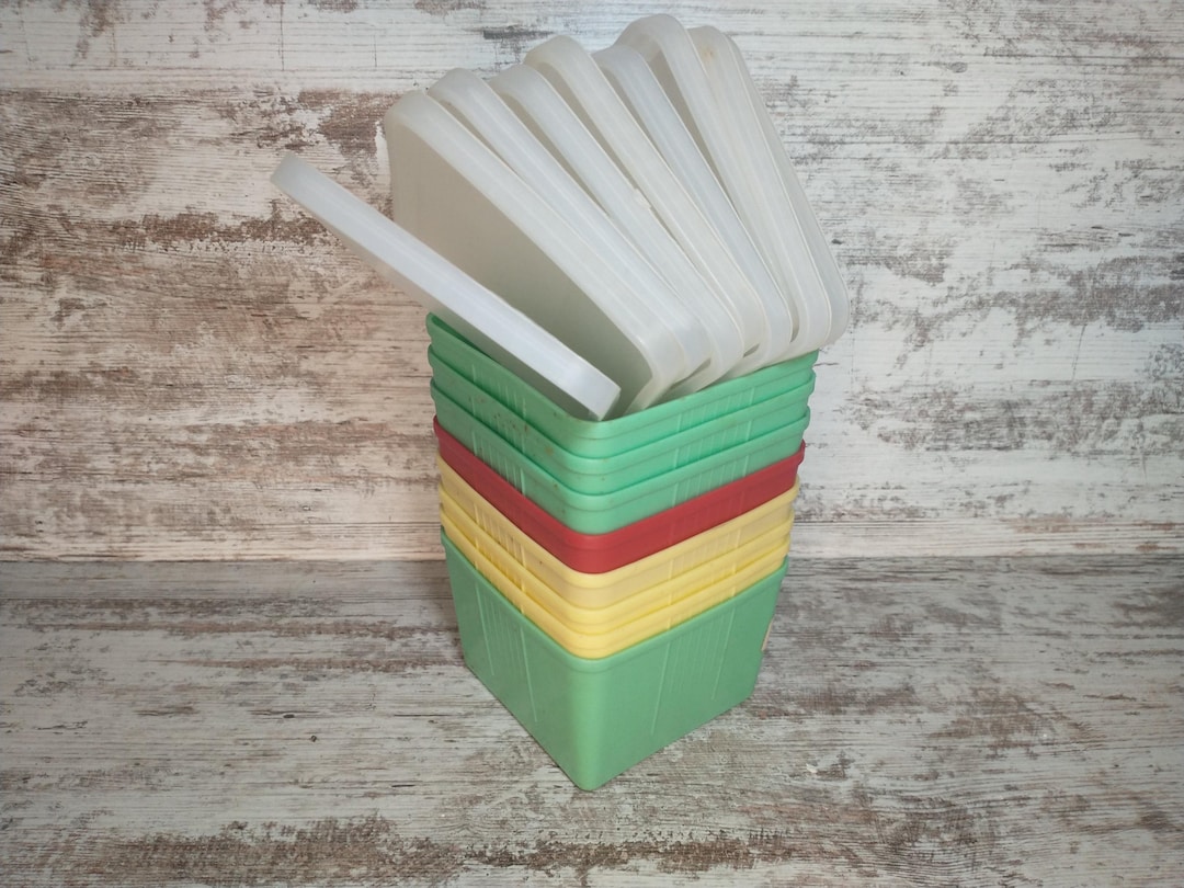 Vintage 1960s Freezer Storage Containers: Set of 8 Colorful Kitchen ...