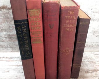 Rainbow Book Stack Decor | Vintage Rainbow Colored Stack of Books ...