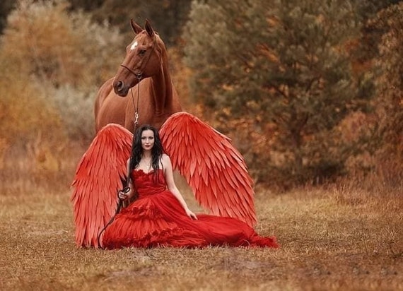 Ripped Angel Wings Anime