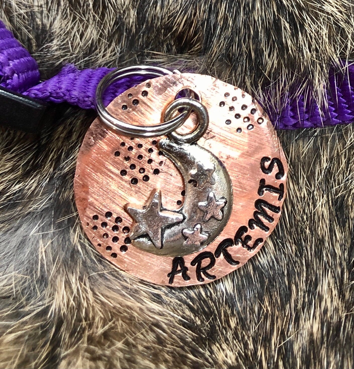 Moon Dog Tag Luna Dog Tag Moon Dog Collar Star Dog Tag - Etsy