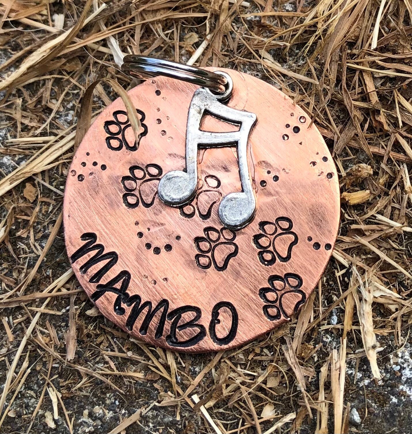 Music Dog Tag Personalized Pet ID personalized Dog Tag - Etsy.de