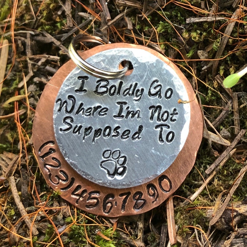Funny Dog Tag - Etsy
