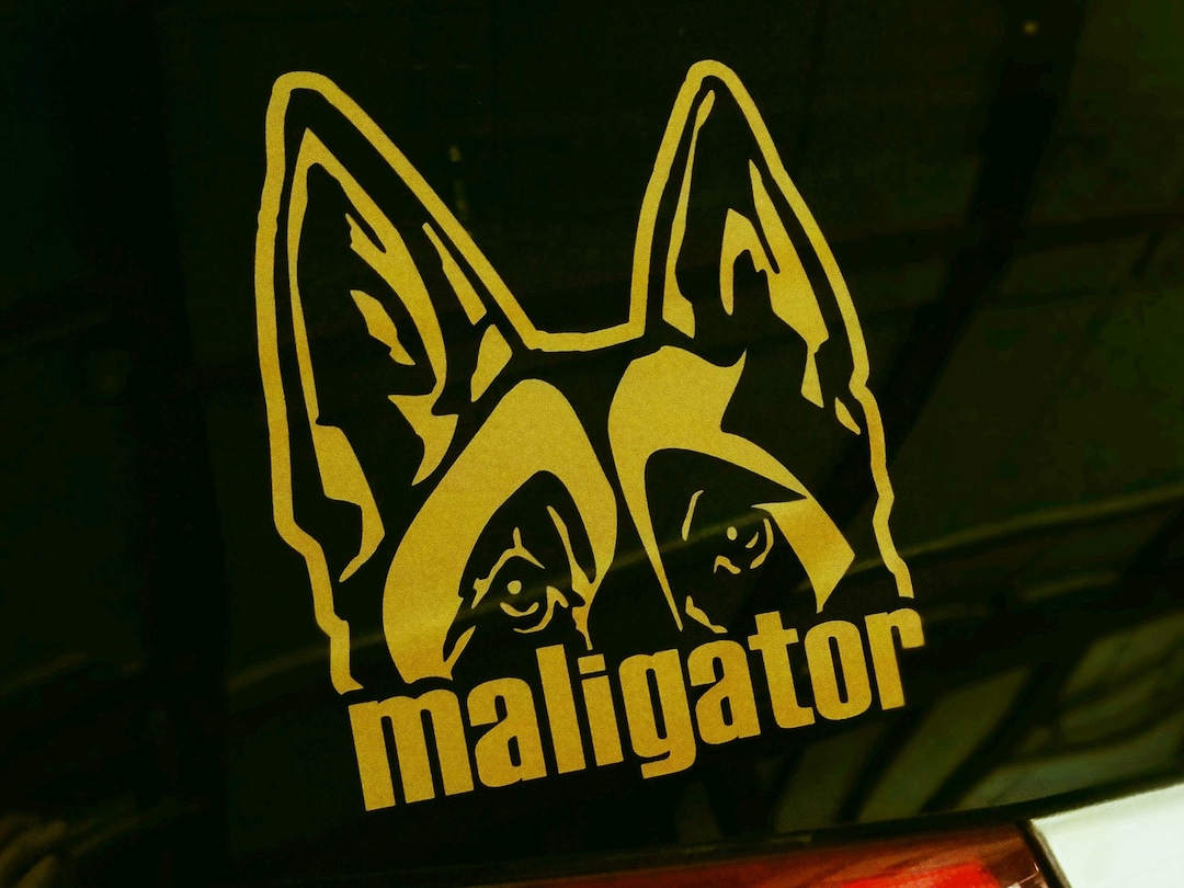 Maligator Car Decal Vinyl Sticker, Malinois Car Decal, Belgian Malinois ...