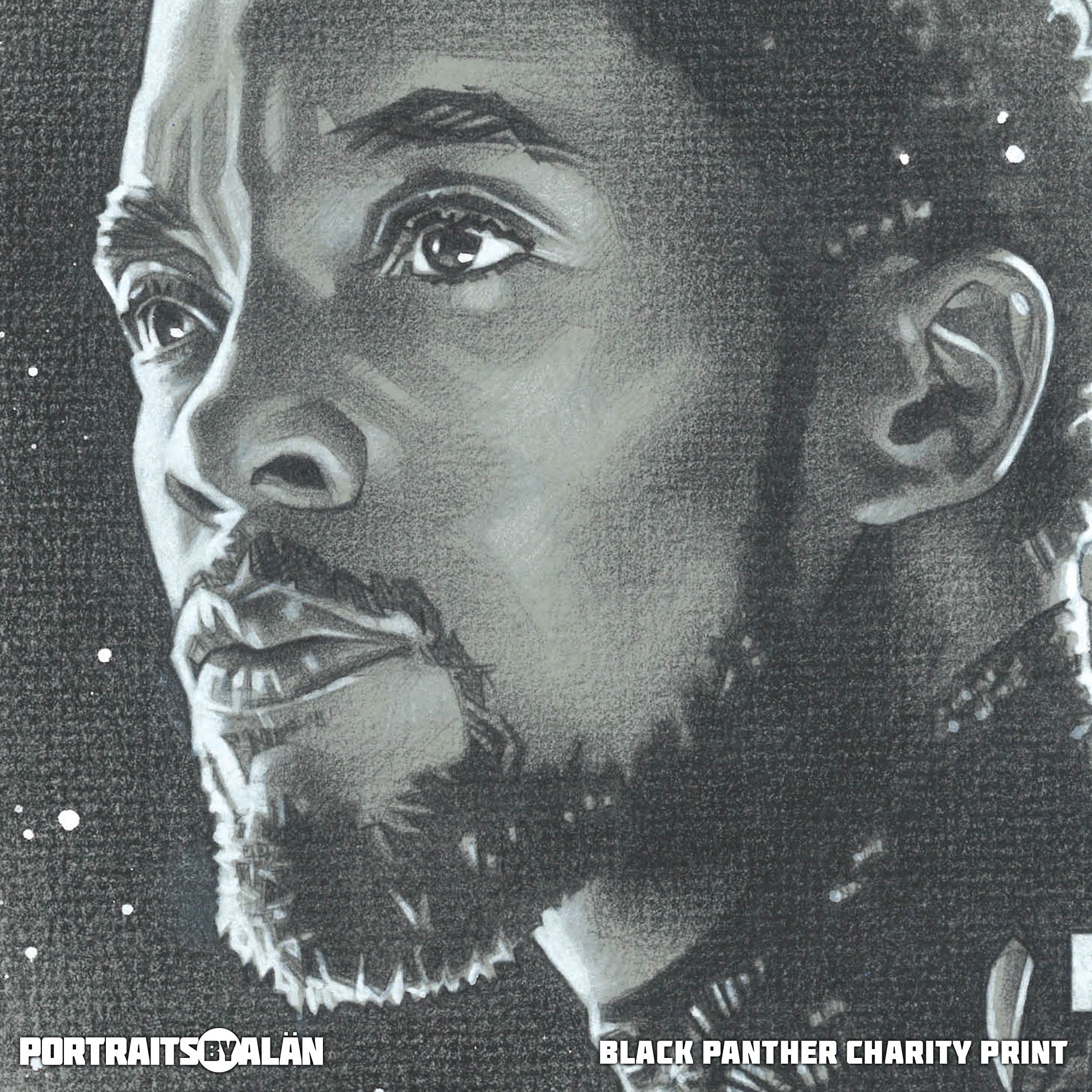Black Panther Memorial Portrait of Chadwick Boseman from the | Etsy
