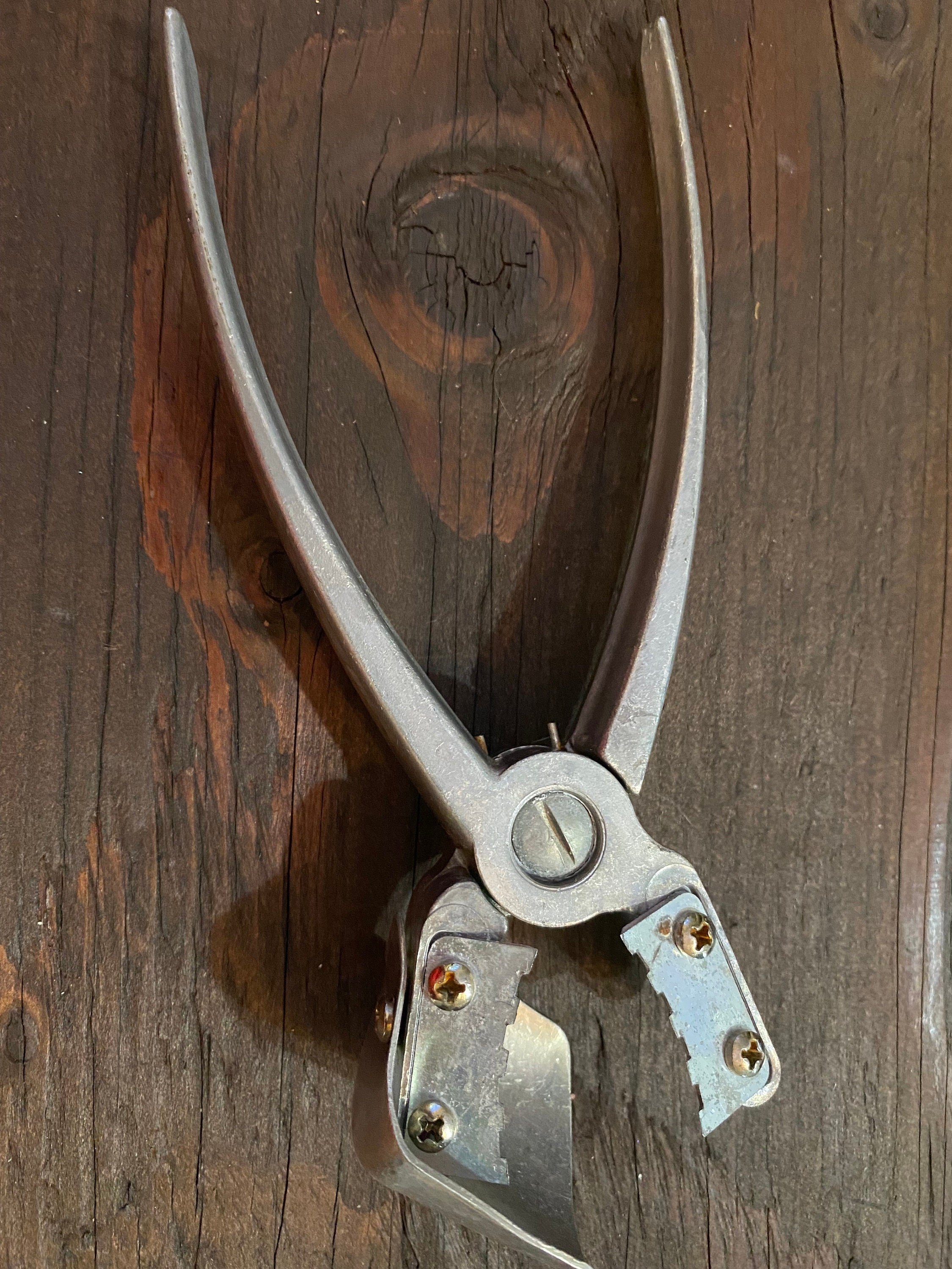 1950’s York Texan Pecan Nut Sheller - Etsy