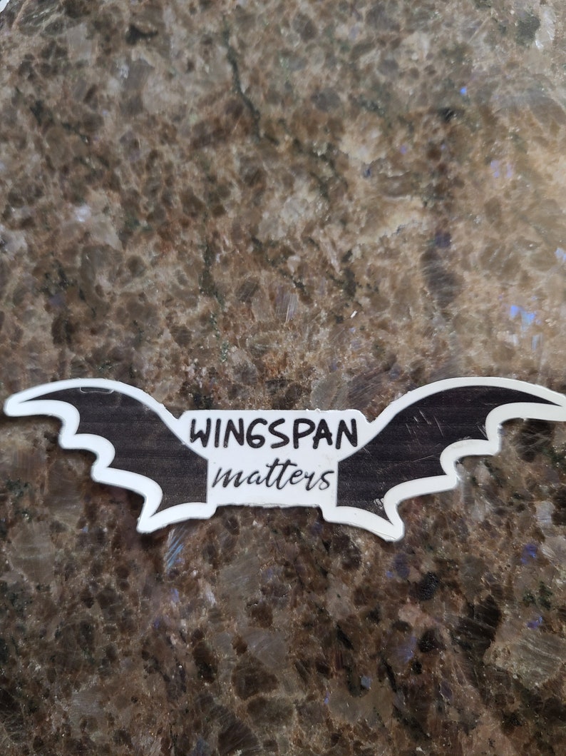 ACOTAR Sticker Set Vinyl Stickers - Etsy