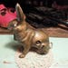 Vintage Antique Iron Bunny Bank / Cast Iron Rabbit Coin Deposit Bank ...