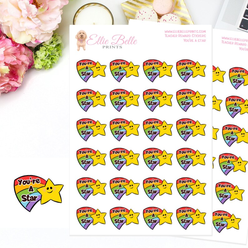You're A Star Stickers Teacher Reward Stickers Teacher | Etsy