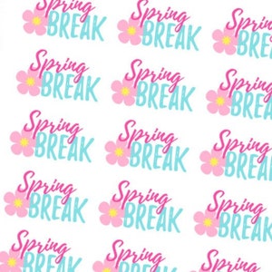 Spring Break Mini Deco Planner Sticker Sheet - Etsy