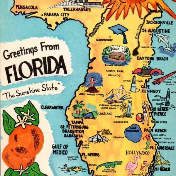 Florida Postcard - Etsy