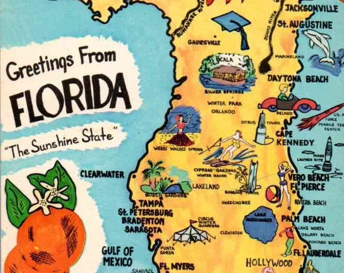 Greetings From Florida State Map the Sunshine State C1960 Vintage ...