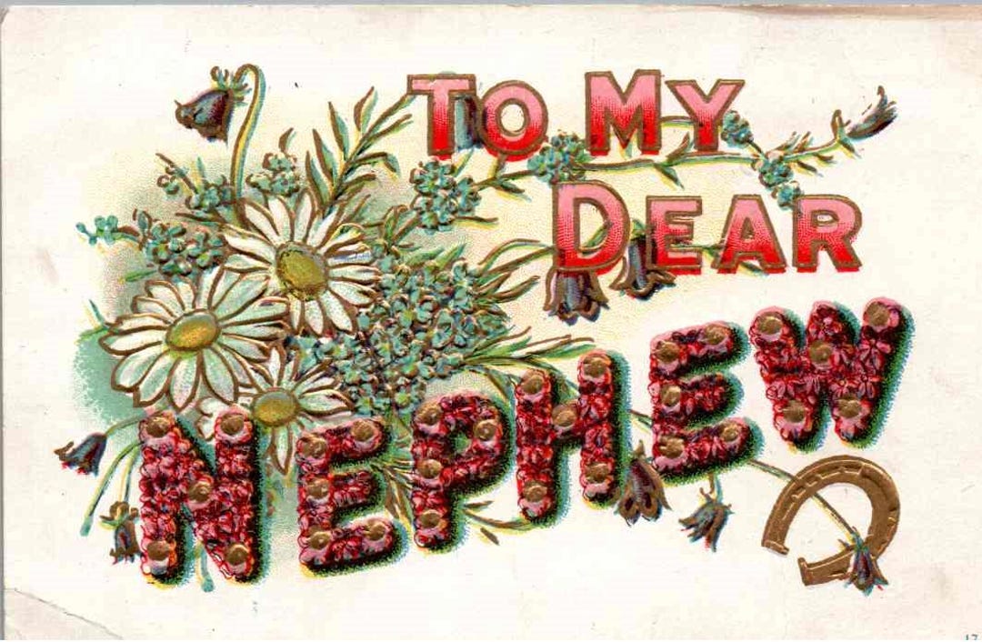 To My Dear Nephew Embossed Horseshoe Daisies C1908 Vintage Postcard - Etsy