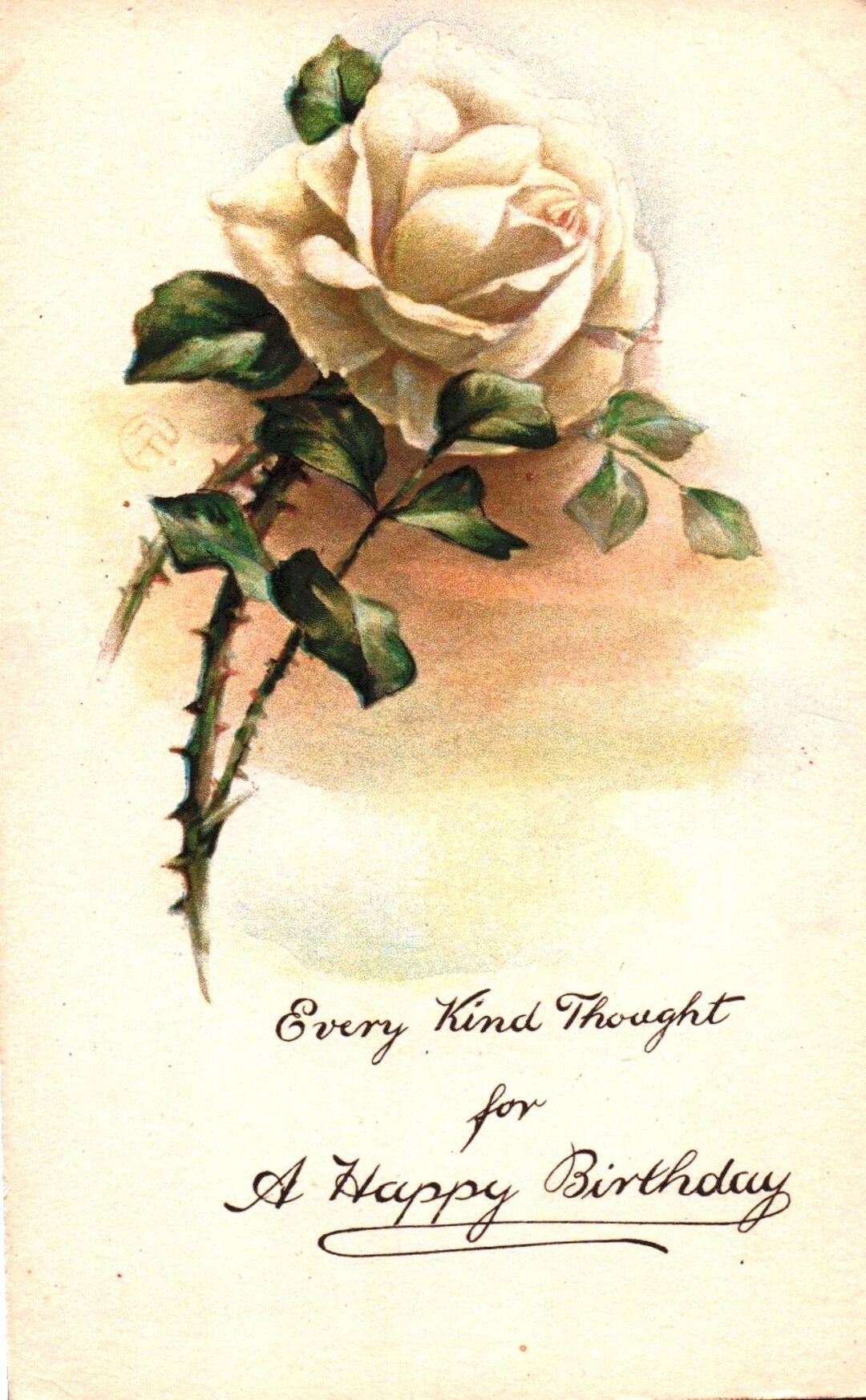 Kind Thoughts, Happy Birthday, White Roses, C1908, Antique Postcard ...