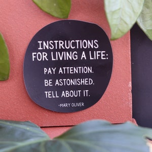 Mary Oliver Sticker Instructions for Living a Life Poem Sticker ...