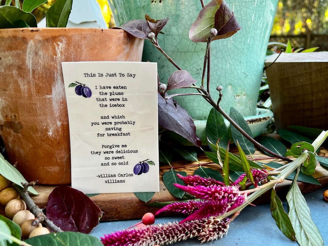Beautiful William Carlos Williams Plum Poem this is Just to Say Sticker ...