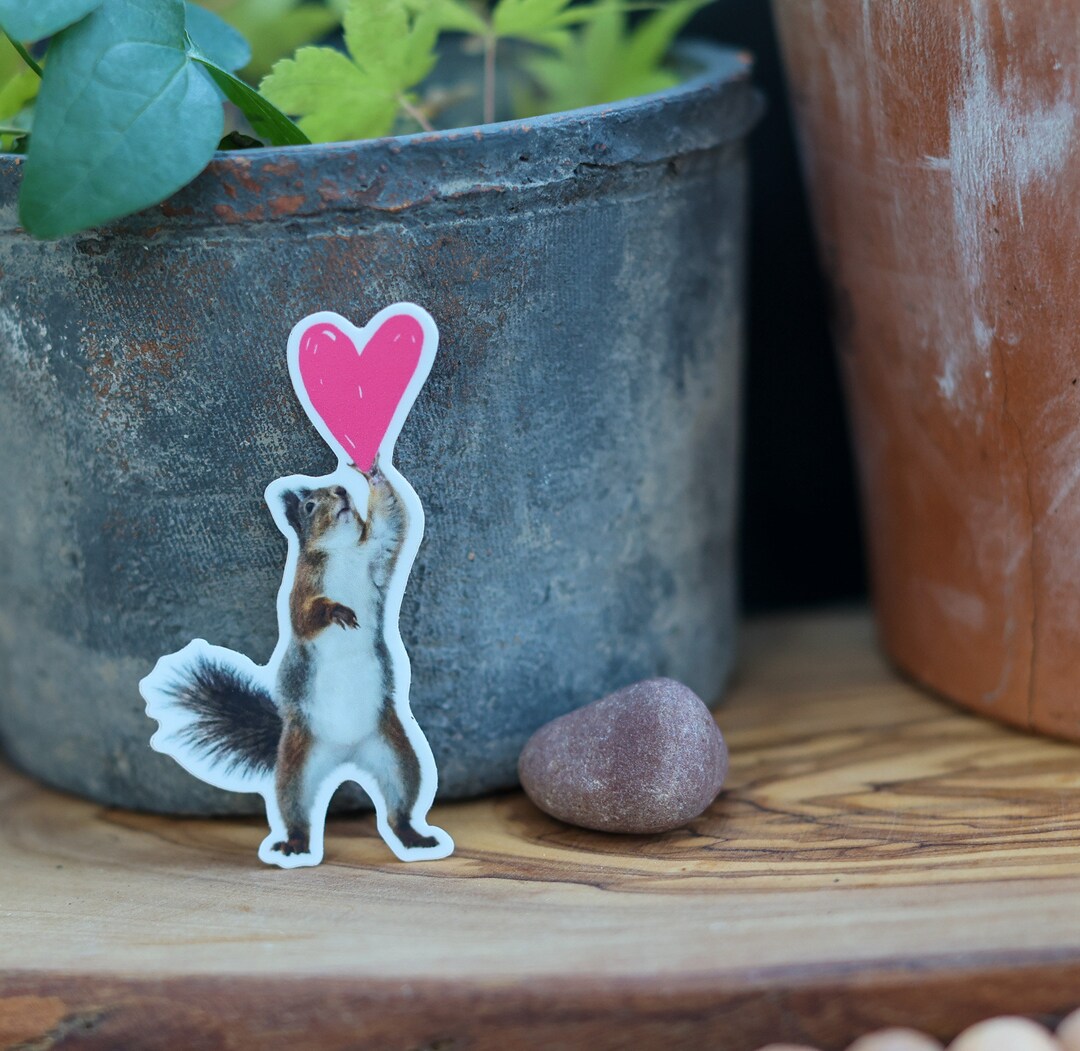 Squirrel Holding Heart Sticker - Squirrel Owner Sticker - Woodland ...