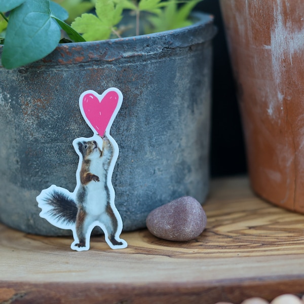 Squirrel Lover - Etsy