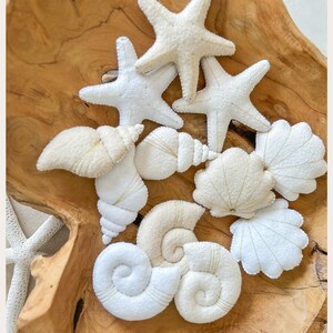 Handmade Beach Decor. Felt Seashell Ornaments. Neutral Sea Shore Charms ...