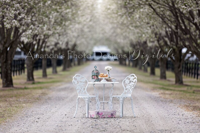 Tea Party Background - Etsy