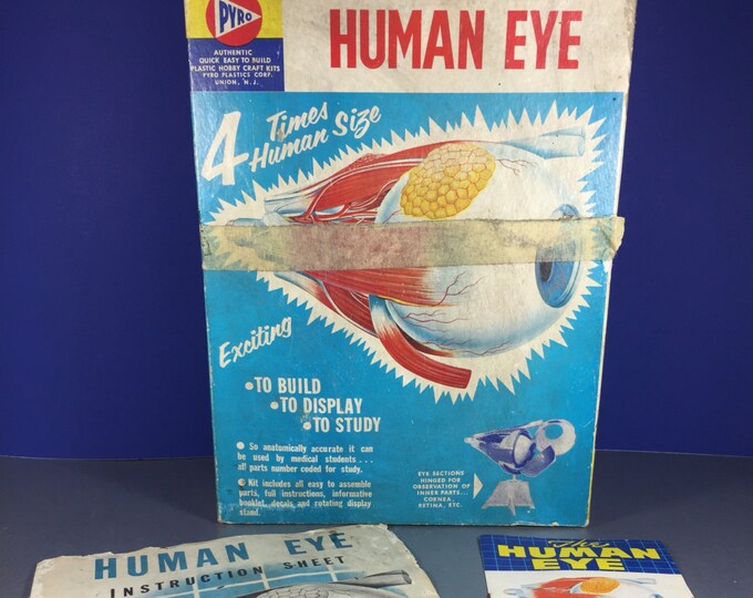 Pyro Human Eye Display - Etsy