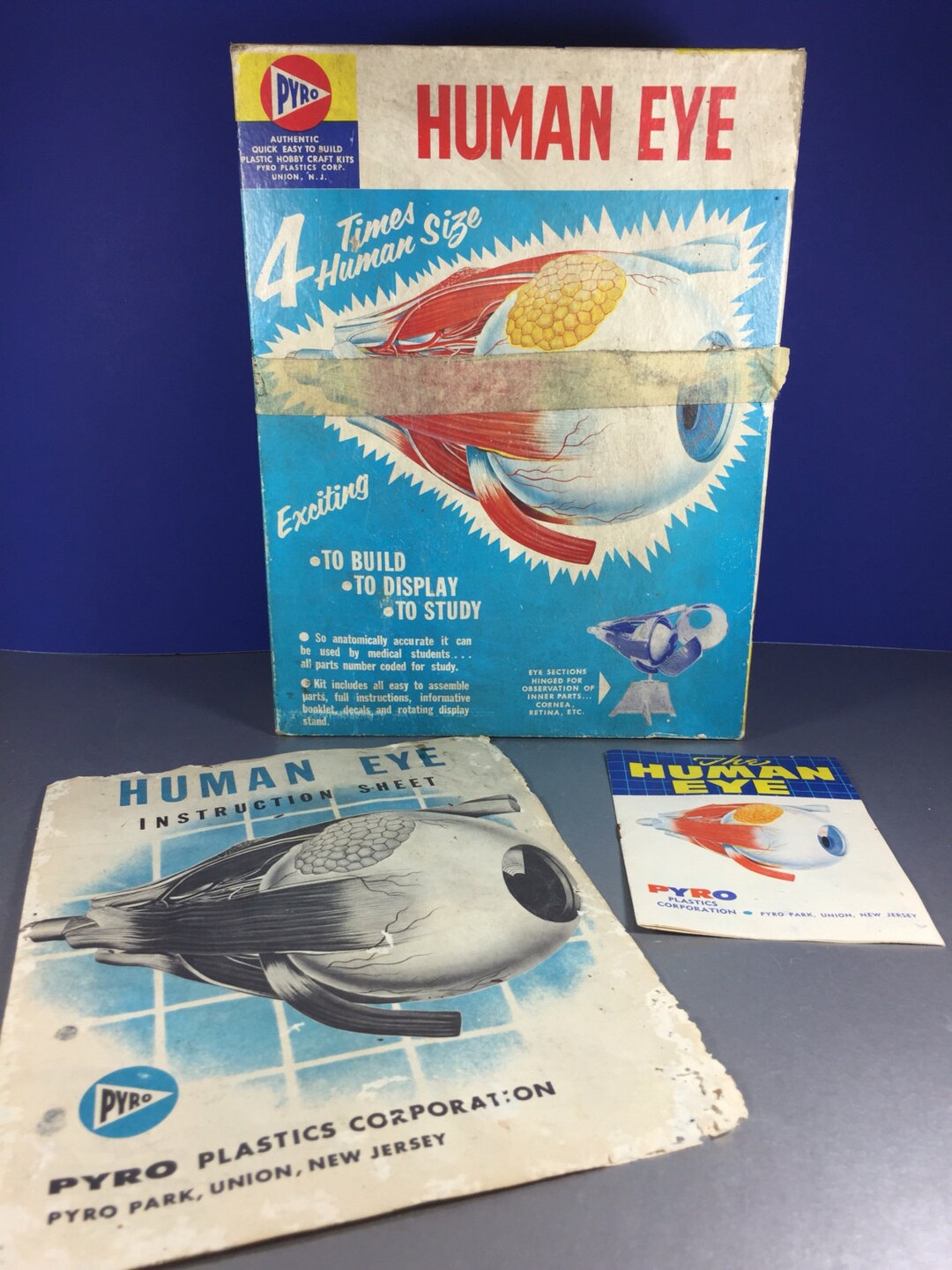 Pyro Human Eye Display - Etsy