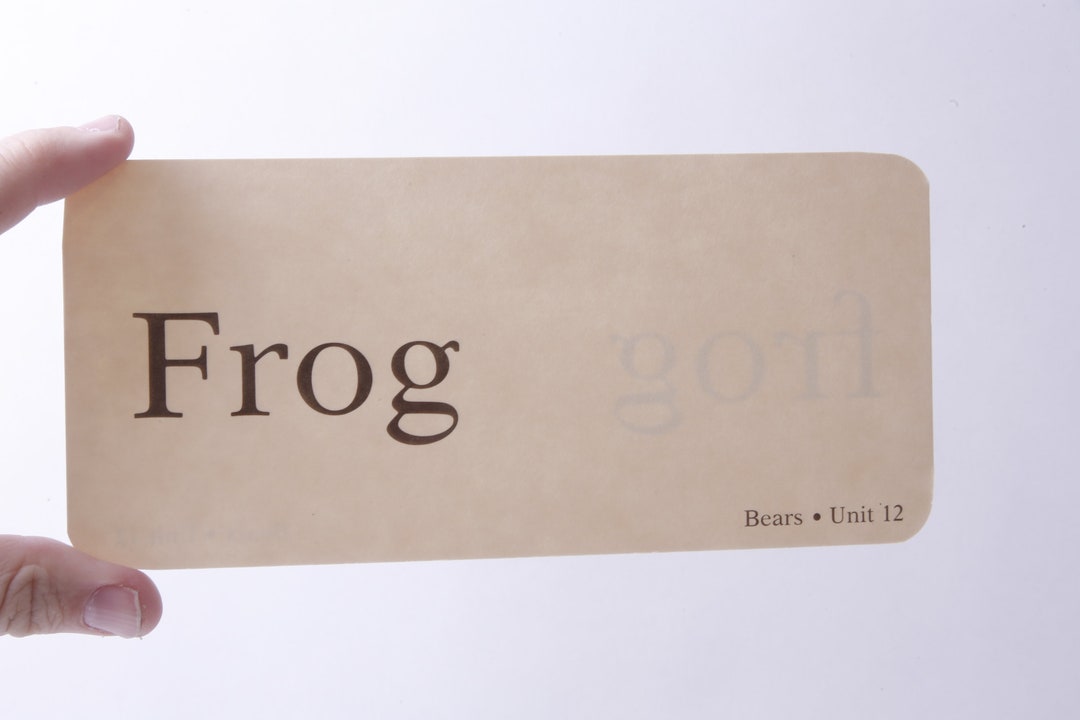 Flash Card Frog, Word Card, English, Language, Learning, School ...