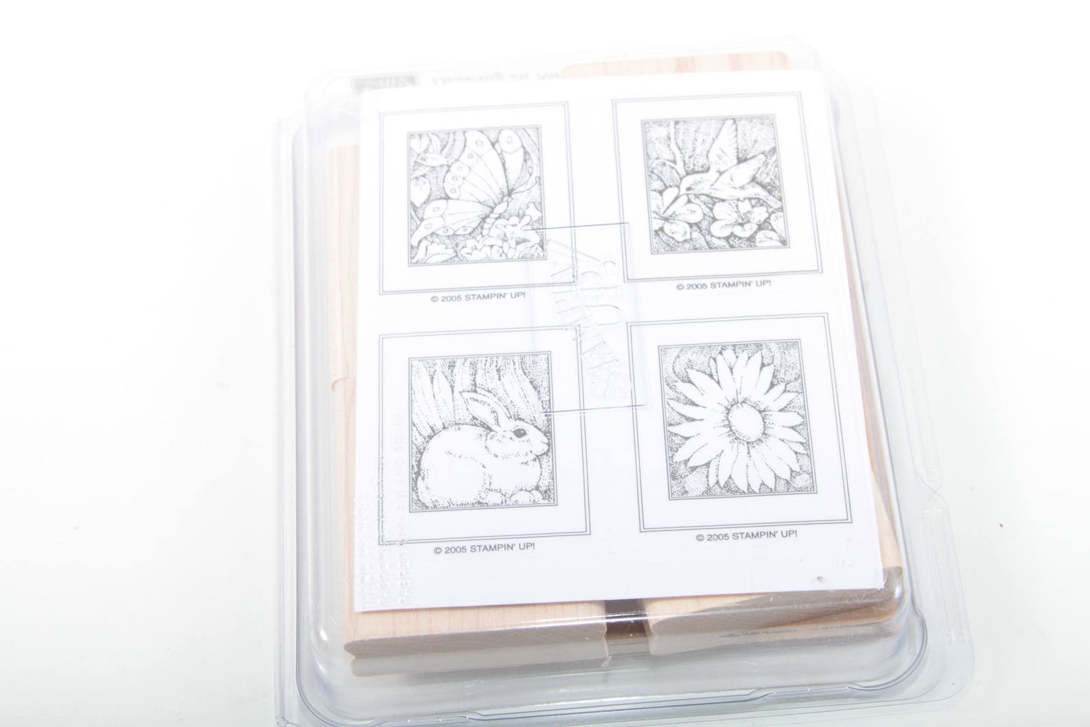 Stampin Up, Drawing on Nature, Flower, Hummingbird, Butterfly, Rabbit ...