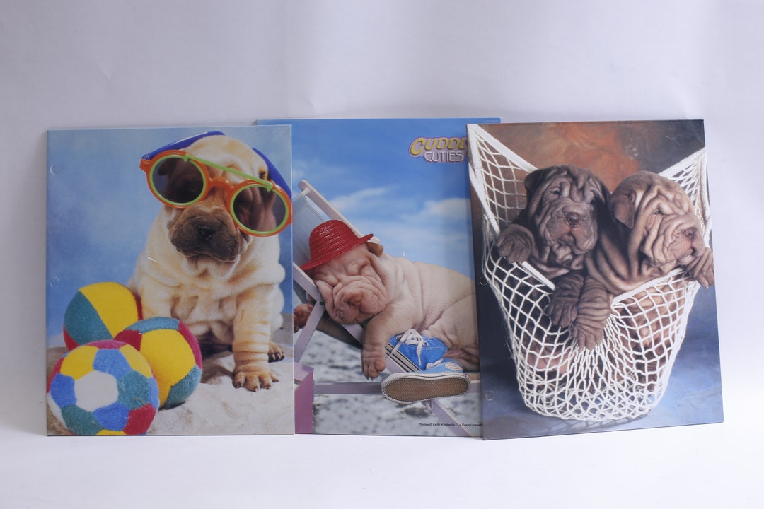 Set of Three Sharpei Dog Folders, Stationery, Organize, Cute, Dog ...