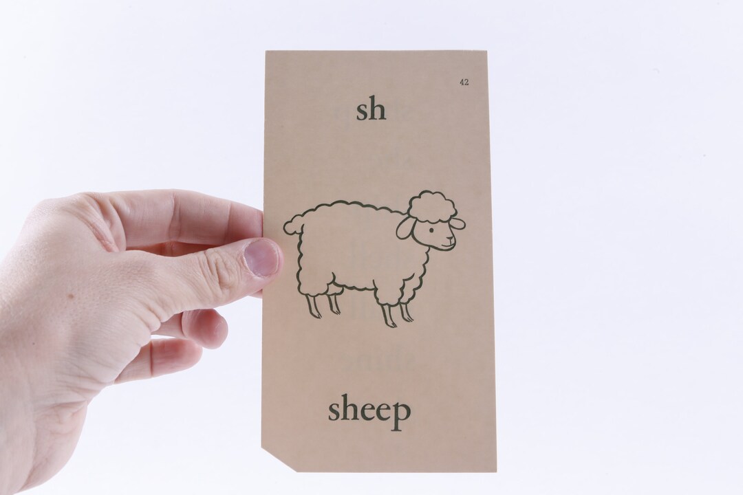 SH SHEEP - Flash Card, Two-sided, Sepia, Aged, Vintage, Antique, Sight ...