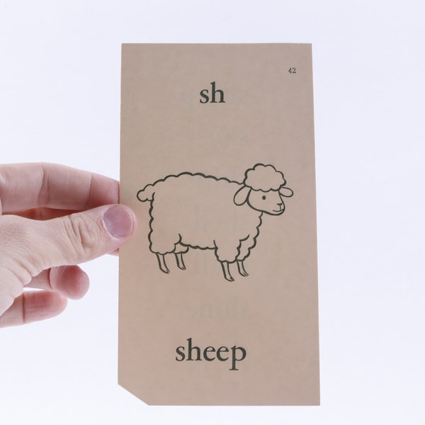 Antique Sheep Pictures - Etsy