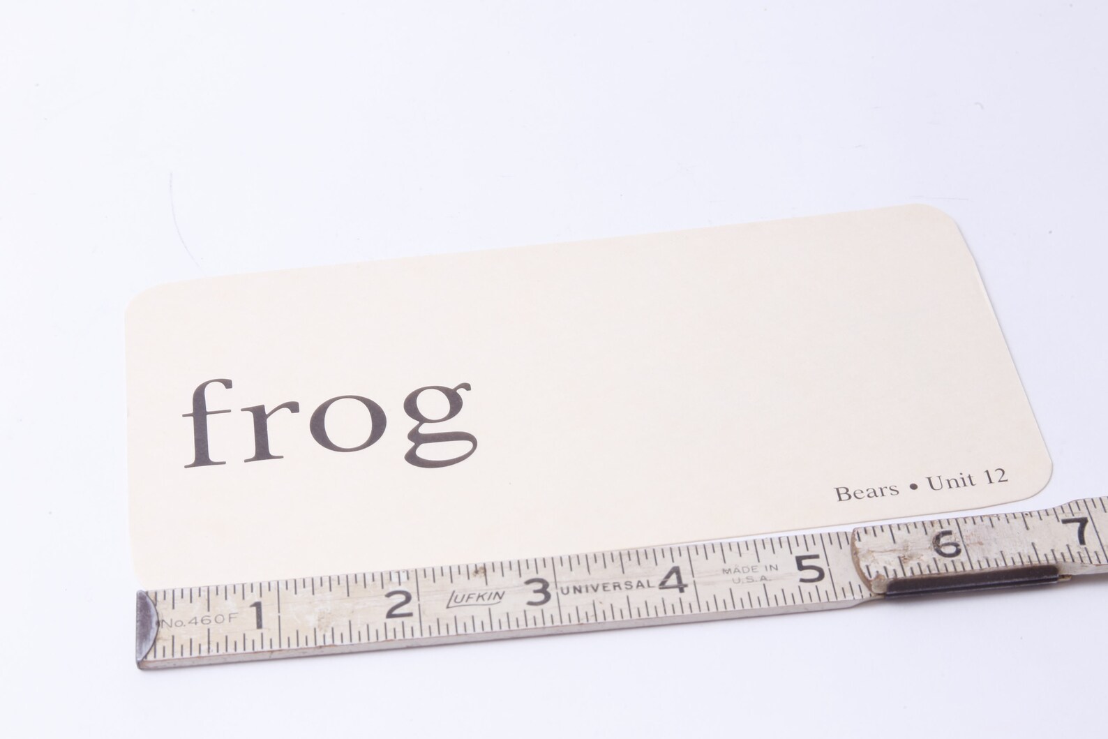 Flash Card Frog Word Card English Language Learning - Etsy