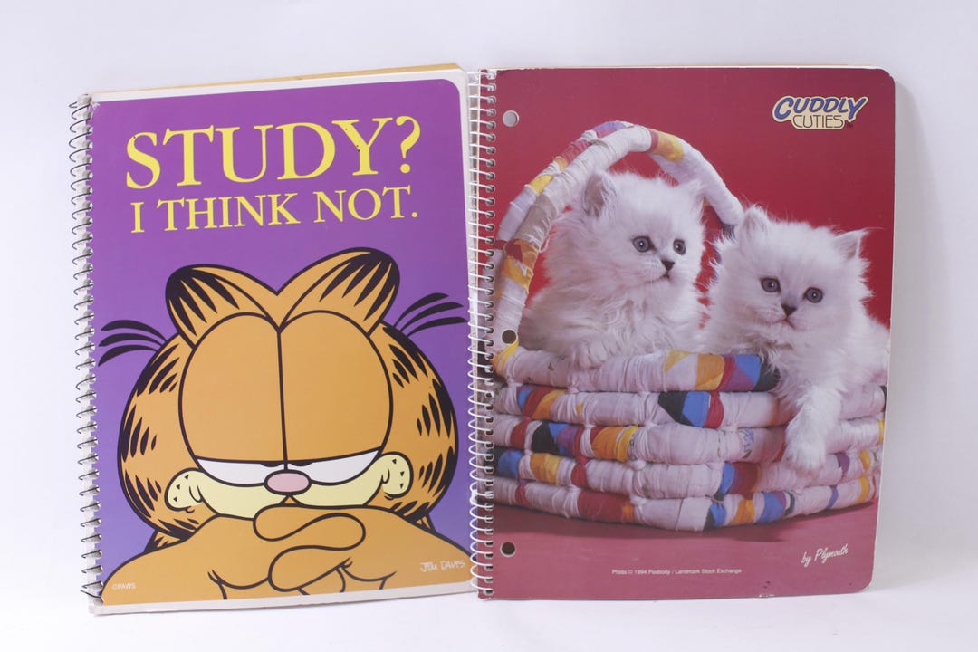 1980s Garfield, Cuddly Cuties, Notebooks, Spiral Binding, Theme Books ...