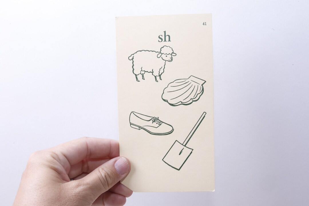 Sh, Sheep, Shoe, Sight Words, Card, Word, Phrase, English, Language ...