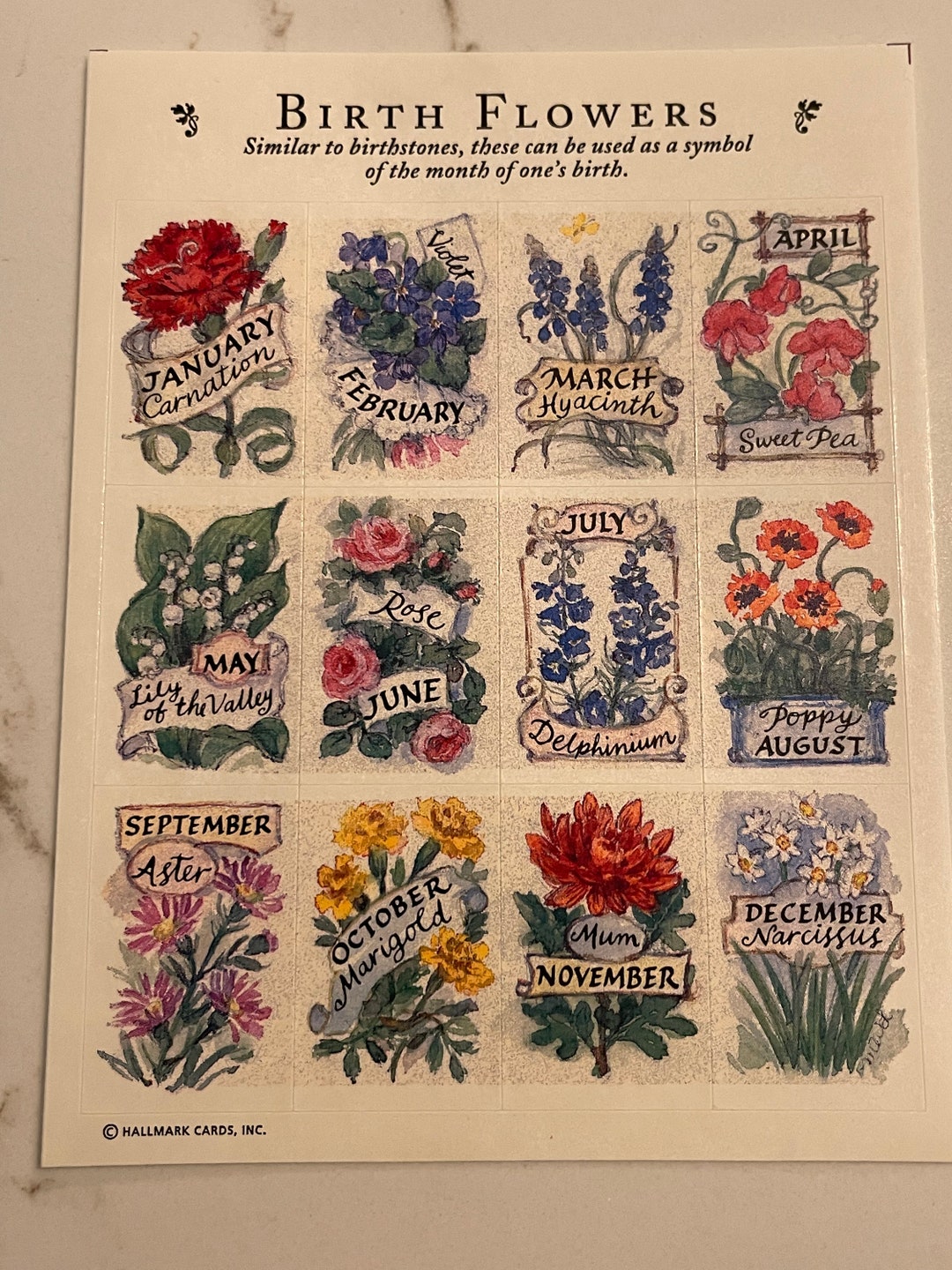 Birth Flowers, Months, Floral, Calendar, Retro, Waterpaint, Sticker ...