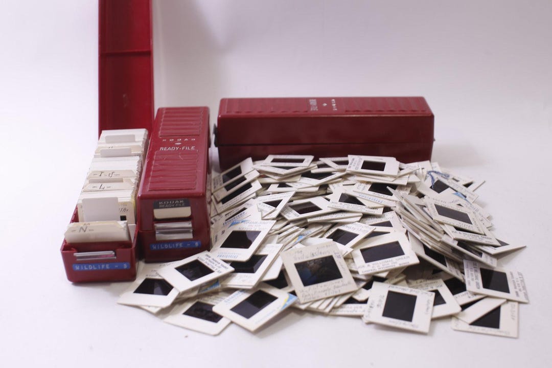 1970s, Color Slides, Sightseeing, Landscape, Nature, Vintage, Ephemera ...