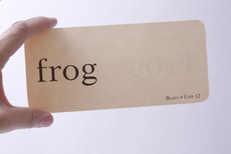 Flash Card Frog Word Card English Language Learning - Etsy