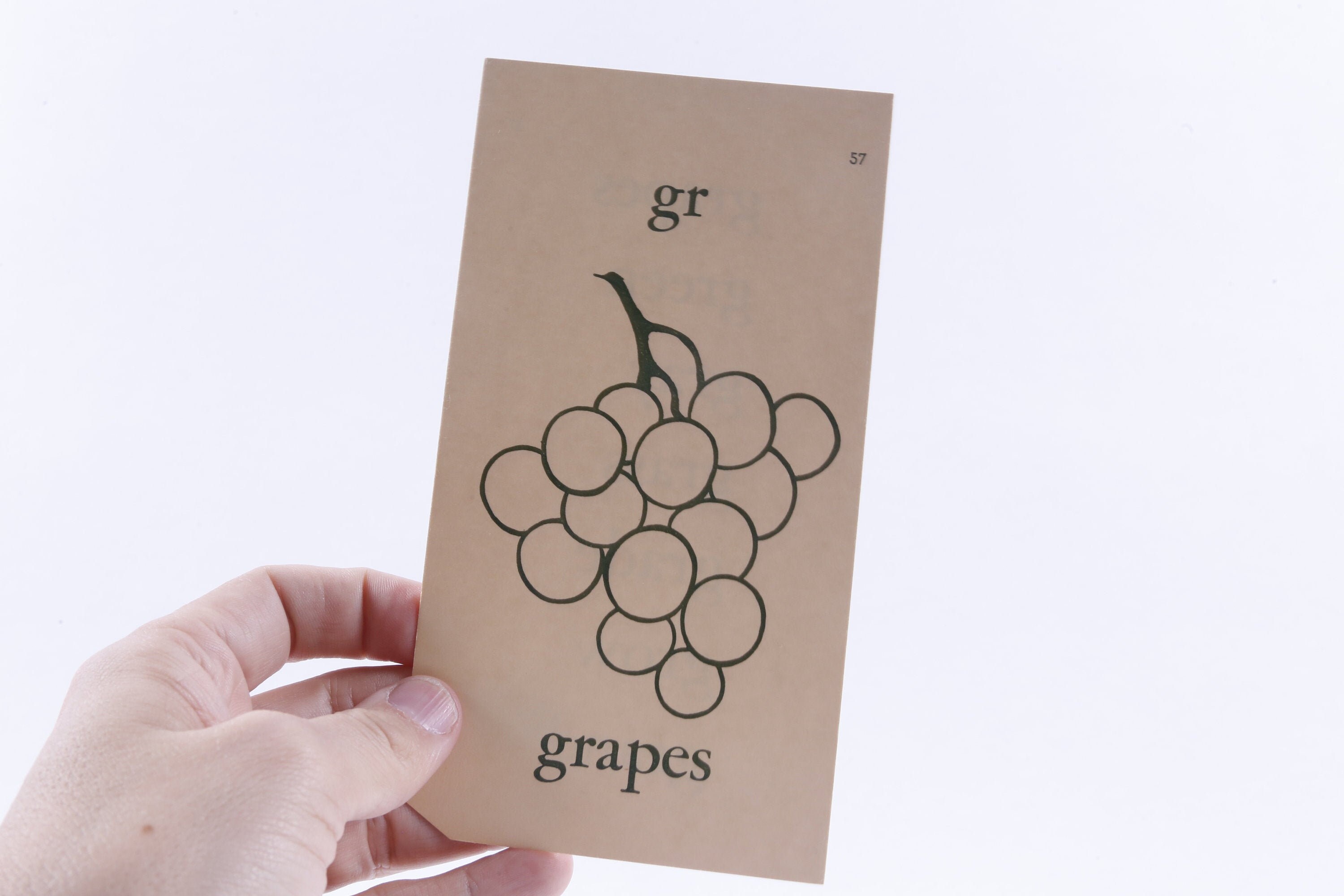 GR GRAPES - Flash Card, Two-sided, Sepia, Aged, Vintage, Antique, Sight ...