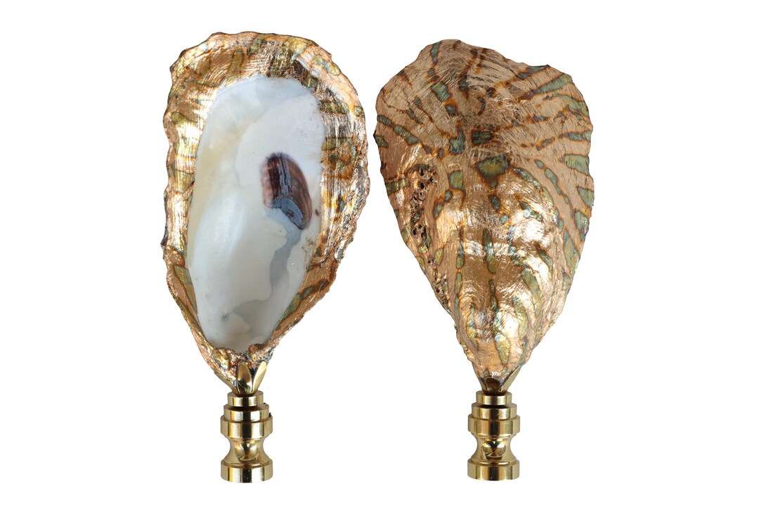 Surf Gilded Oyster Shell Finials - Natural Sea Shell Specimens on Shiny ...