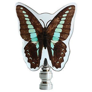 Bluebottle Butterfly Specimen Lamp Finials - Natural Butterflies in ...