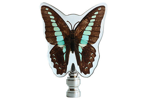 Bluebottle Butterfly Specimen Lamp Finials - Natural Butterflies in ...