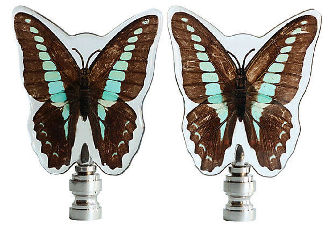 Bluebottle Butterfly Specimen Lamp Finials Natural - Etsy
