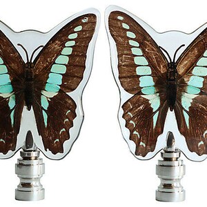 Bluebottle Butterfly Specimen Lamp Finials - Natural Butterflies in ...