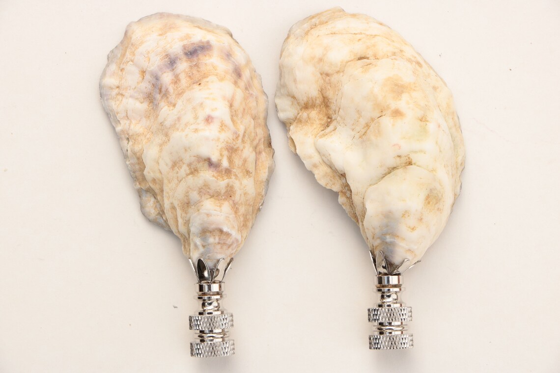 Blue Coral Oyster Sea Shell Lamp Finials in Silver Natural - Etsy