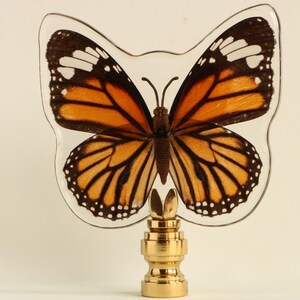Asian Tiger Butterfly Specimen Lamp Finials - Natural Butterflies in ...