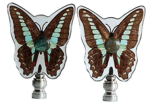 Bluebottle Butterfly Specimen Lamp Finials - Natural Butterflies in ...