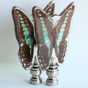 Bluebottle Butterfly Specimen Lamp Finials - Natural Butterflies in ...