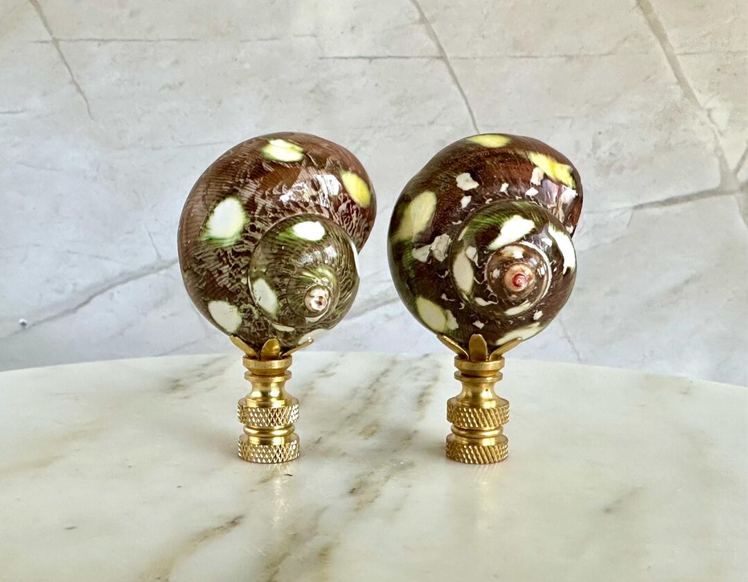 Spotted Shell Lamp Finials on Brass Hardware - A Single Finial or ...