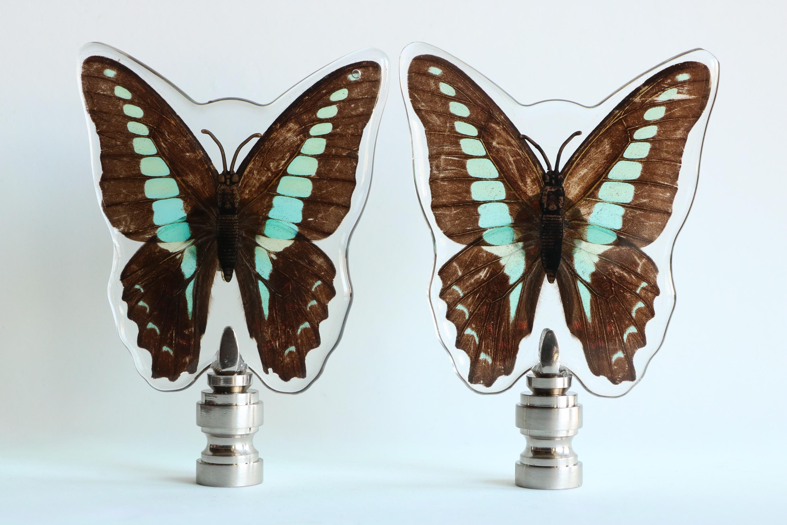 Bluebottle Butterfly Specimen Lamp Finials - Natural Butterflies in ...