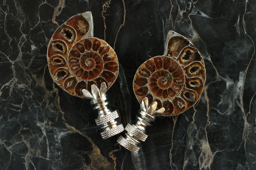 Ammonite Lamp Finials on Shiny Chrome Hardware - A Matching Pair of ...