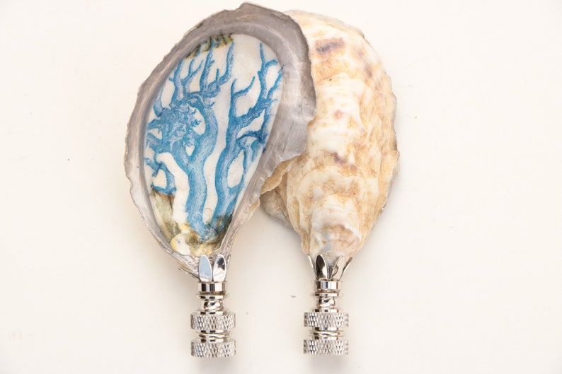 Blue Coral Oyster Sea Shell Lamp Finials in Silver Natural - Etsy